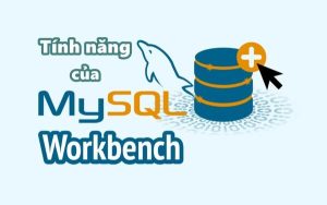 MySQL Workbench là gì? Cách cài đặt và sử dụng MySQL Workbench
